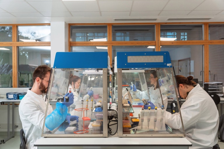 NatureMetrics : mesurer la biodiversité pour une planète en meilleure ...