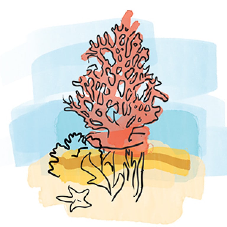 “Banks have a key role to play in financing solutions that will help ...